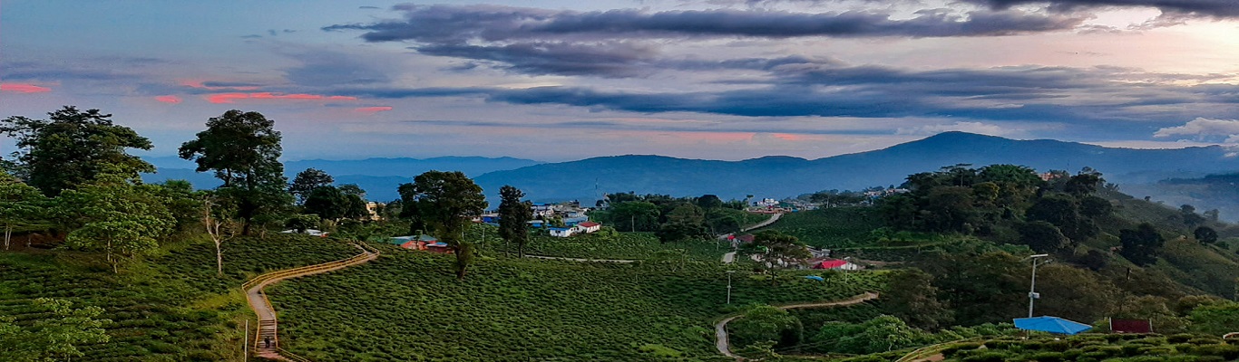 Ilam Municipality, Office of the Municipal Executive | "Clean ...